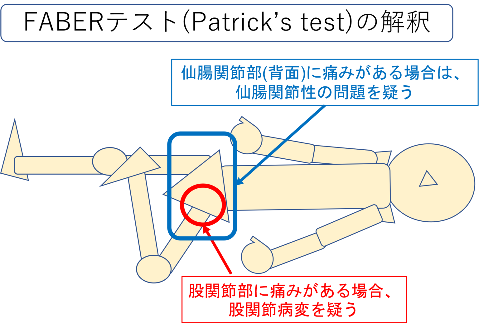 パトリックテストについて～股関節性・仙腸関節性の問題を判別する方法も含めて～ | 身体を理解しよう