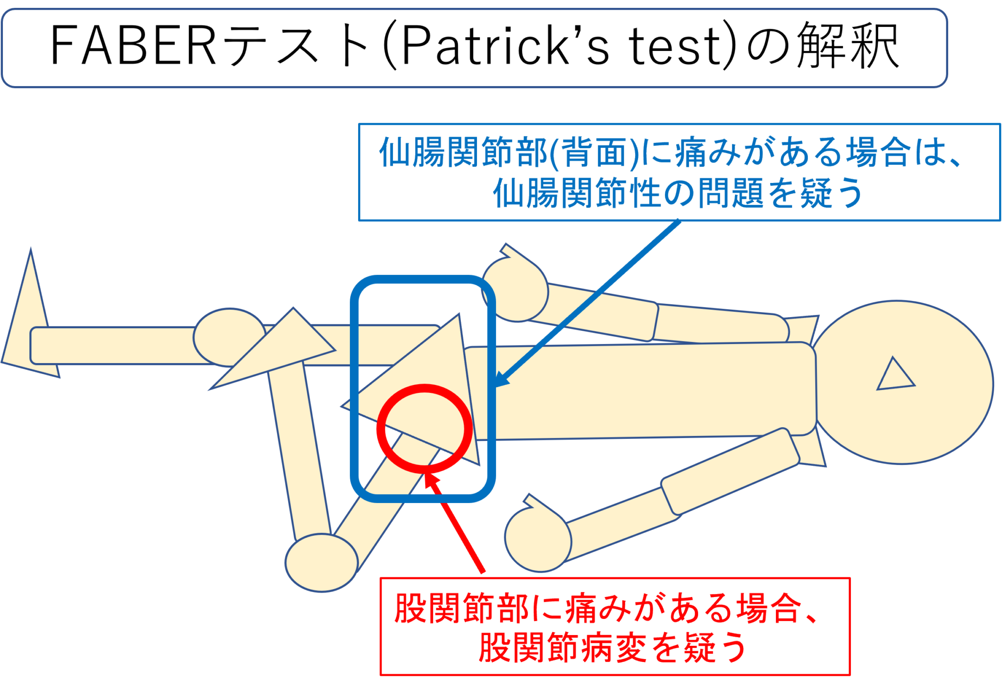 パトリックテストについて～股関節性・仙腸関節性の問題を判別する方法も含めて～ | 身体を理解しよう