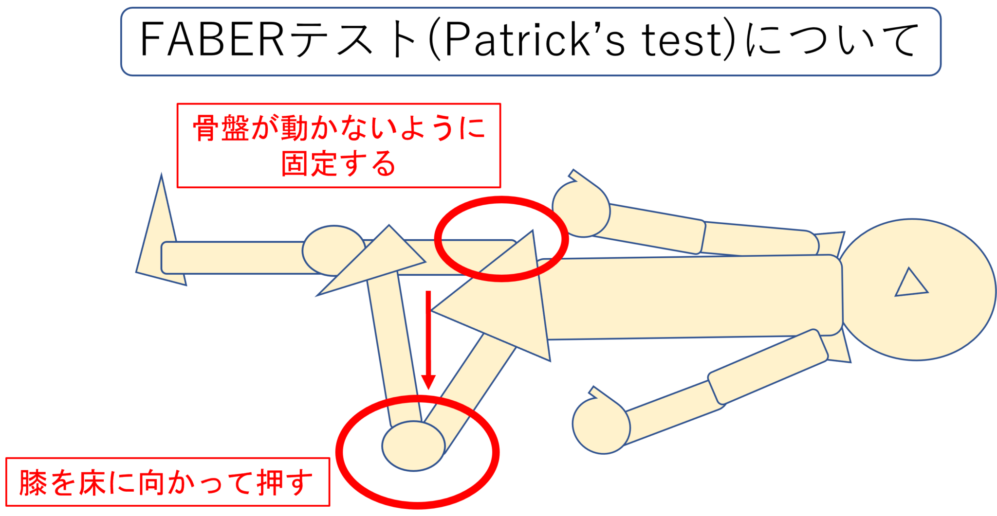 パトリックテストについて～股関節性・仙腸関節性の問題を判別する方法も含めて～ | 身体を理解しよう